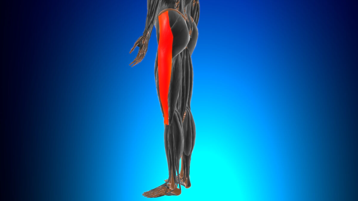 Knee Injuries - Gymnastics Medicine
